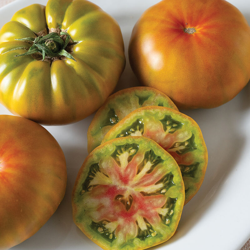 Tomato: Woodstock – Daisy Hill Farm
