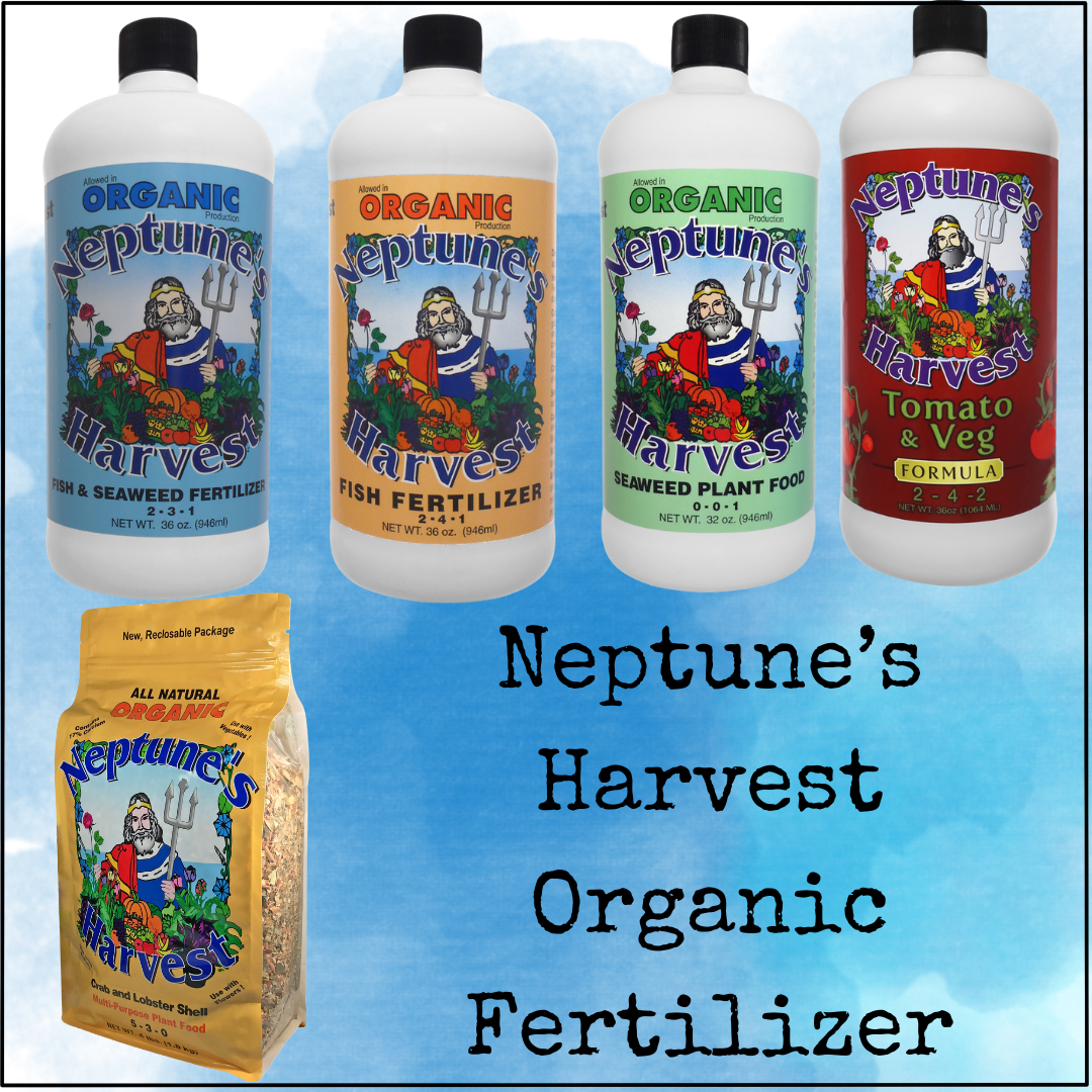 Neptune's Harvest Organic Fertilizer – Daisy Hill Farm