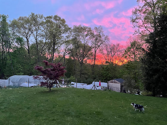 Contact Us – Daisy Hill Farm