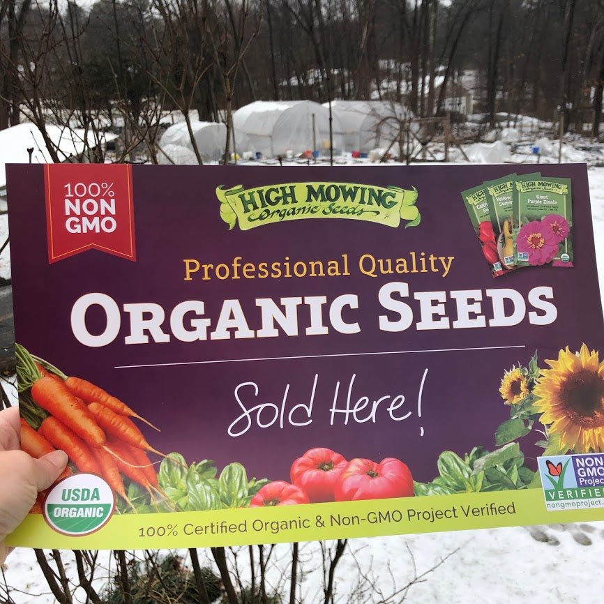Yaya F1 Carrot Seeds – Daisy Hill Farm