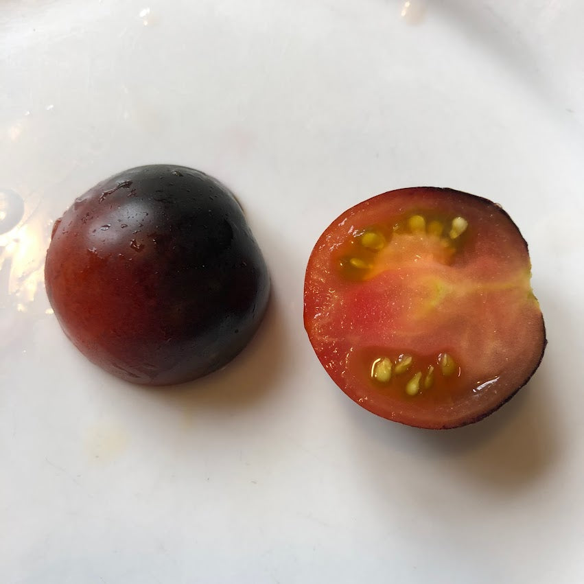 Tomato: Indigo Cherry Drop – Daisy Hill Farm
