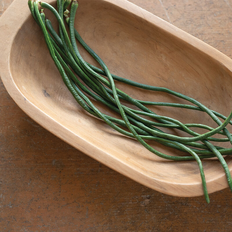 Bean: Green Long: Python – Daisy Hill Farm