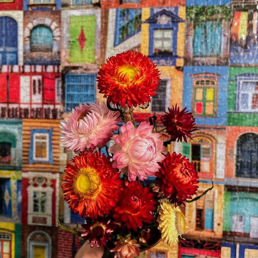 Strawflower: Monstrosum Mix - NEW! – Daisy Hill Farm