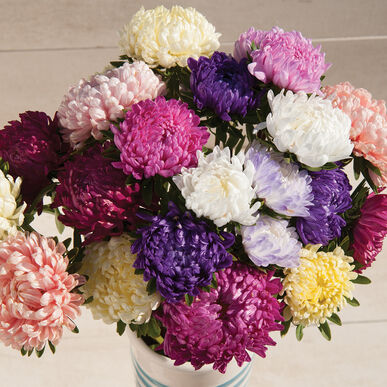 Aster: Tower Custom Mix – Daisy Hill Farm
