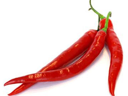 Hot Pepper: Red Ember Cayenne – Daisy Hill Farm